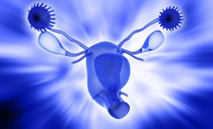 Blue Waffles : Pictures, What is, Causes, Symptoms and Treatment