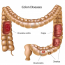 Mucus in Stools : What Does it Mean ? - Charlies Magazines