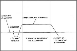 What is Selye’s General Adaptation Syndrome theory of stress ...